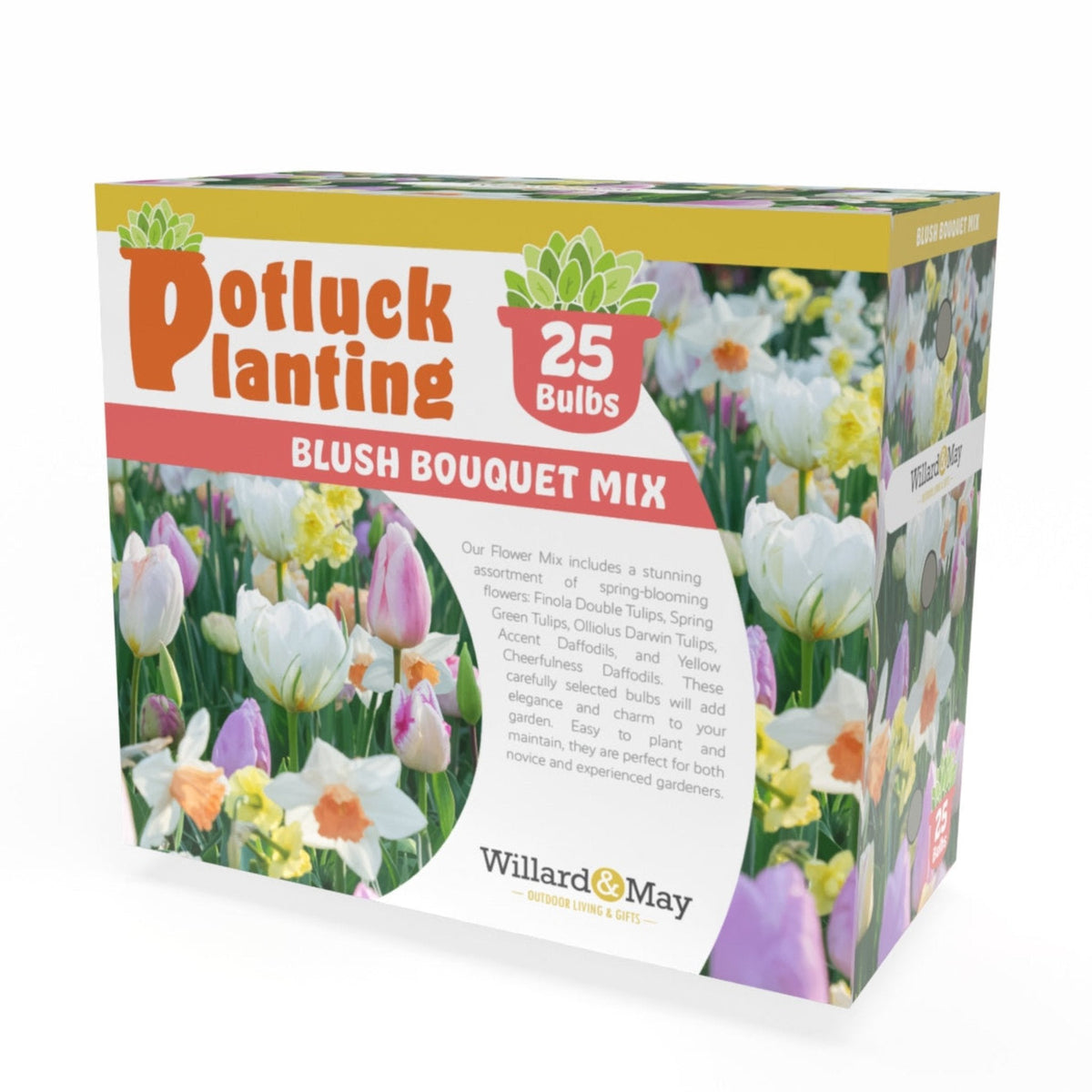 Potluck Planting Blush Bouquet Mix- Bulbs for Stunning Spring Flowers